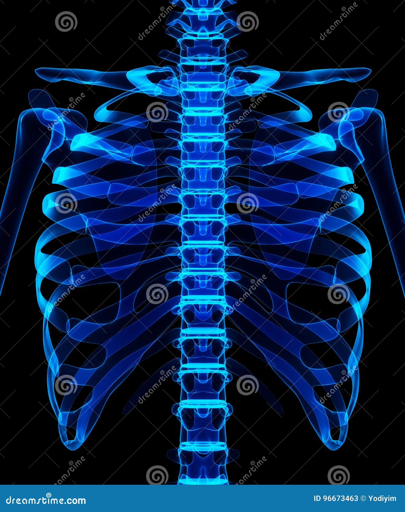3D Illustration of Shiny Blue Skeleton System. Stock Illustration ...