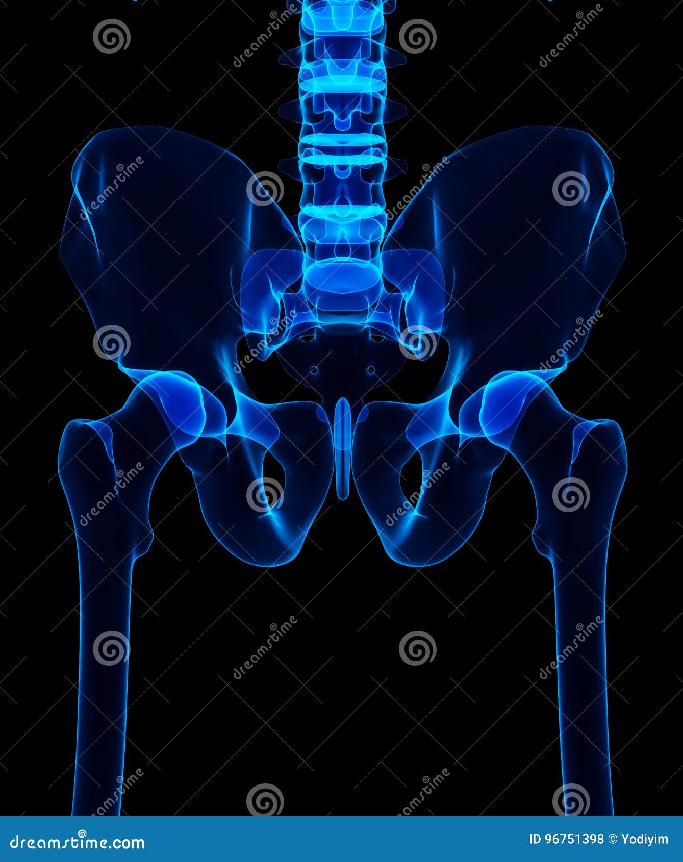 Skeleton System Of Running Man, Bone Anatomy While Run, Running Man ...