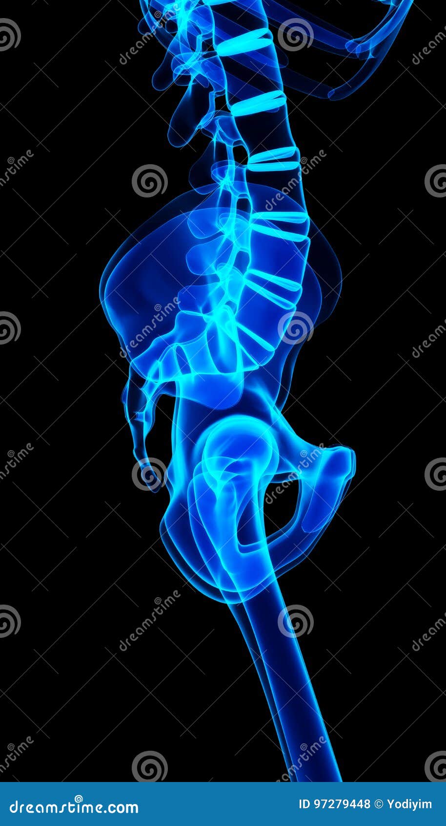 3D Illustration of Shiny Blue Skeleton System. Stock Illustration ...