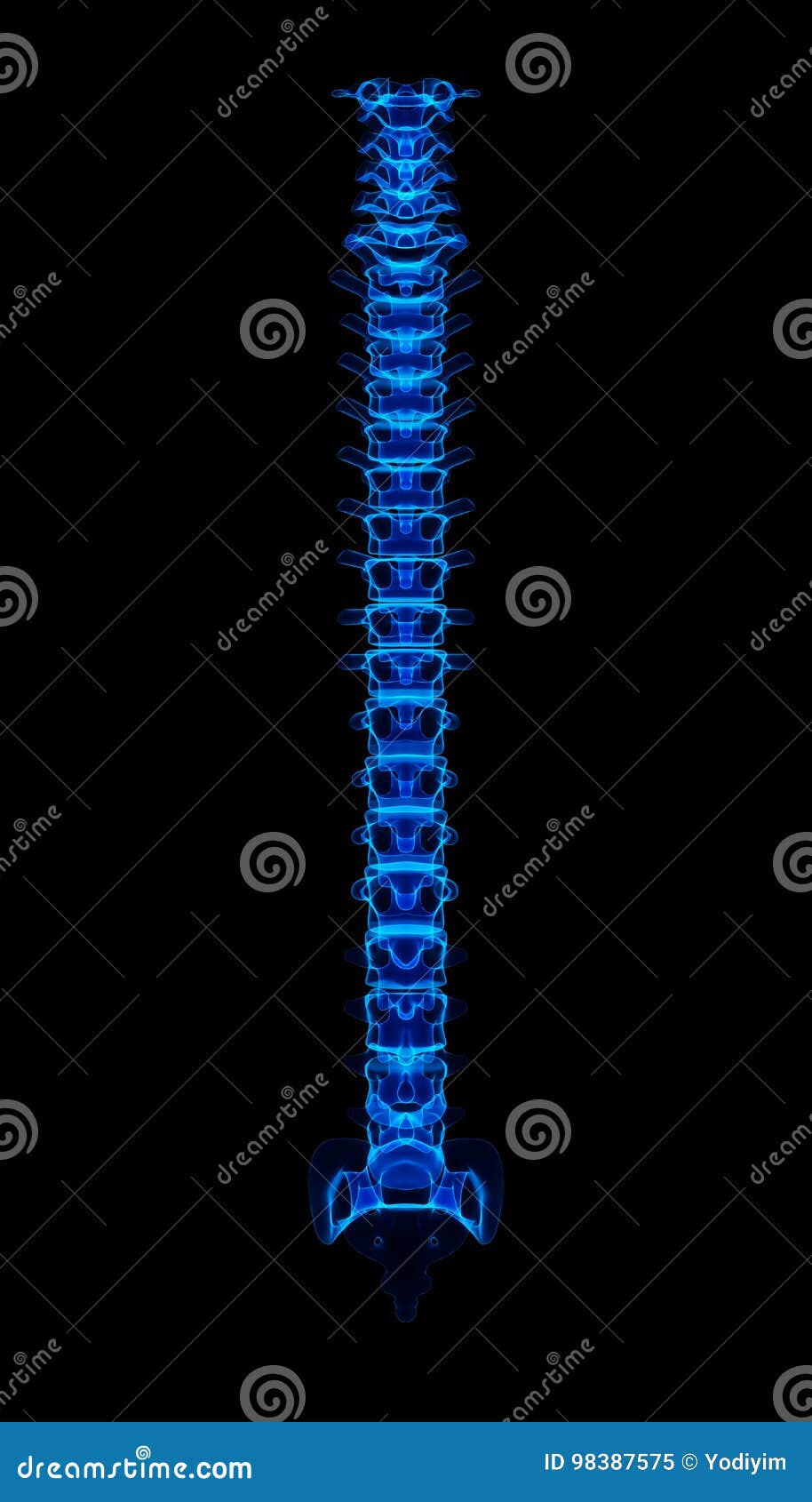 3D Illustration of Shiny Blue Skeleton System. Stock Illustration ...
