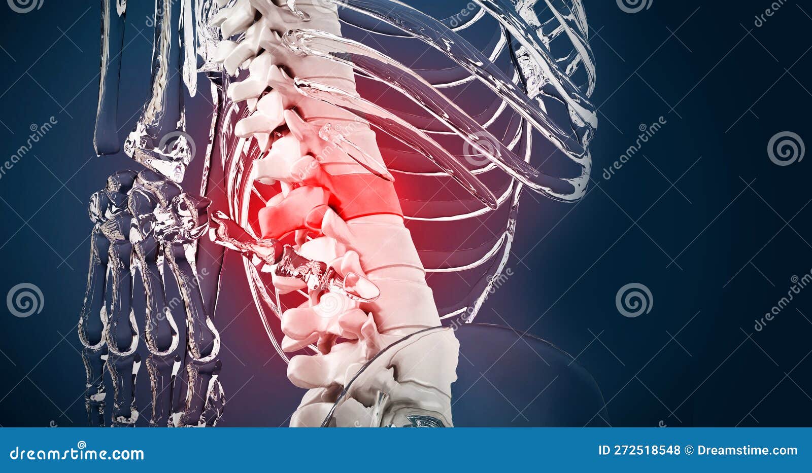 3D Illustration Showing Back Pain. 3D Illustration Stock Illustration ...