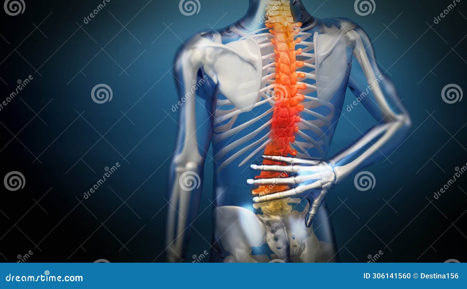 3D Illustration Showing Back Pain or Pain on the Spine Stock ...