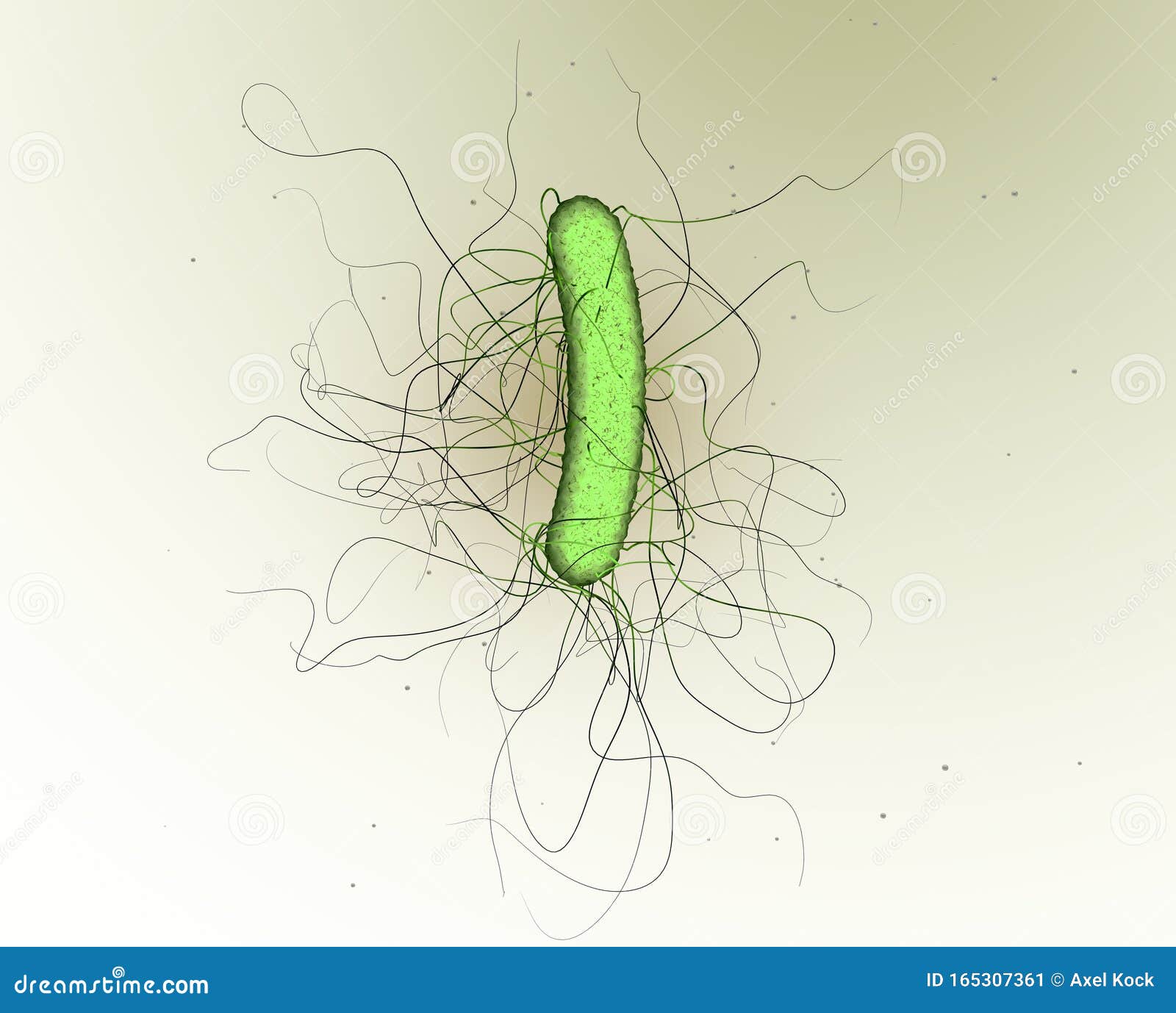 Bacterium Clostridium Difficile, Scientific 3D Illustration Royalty ...