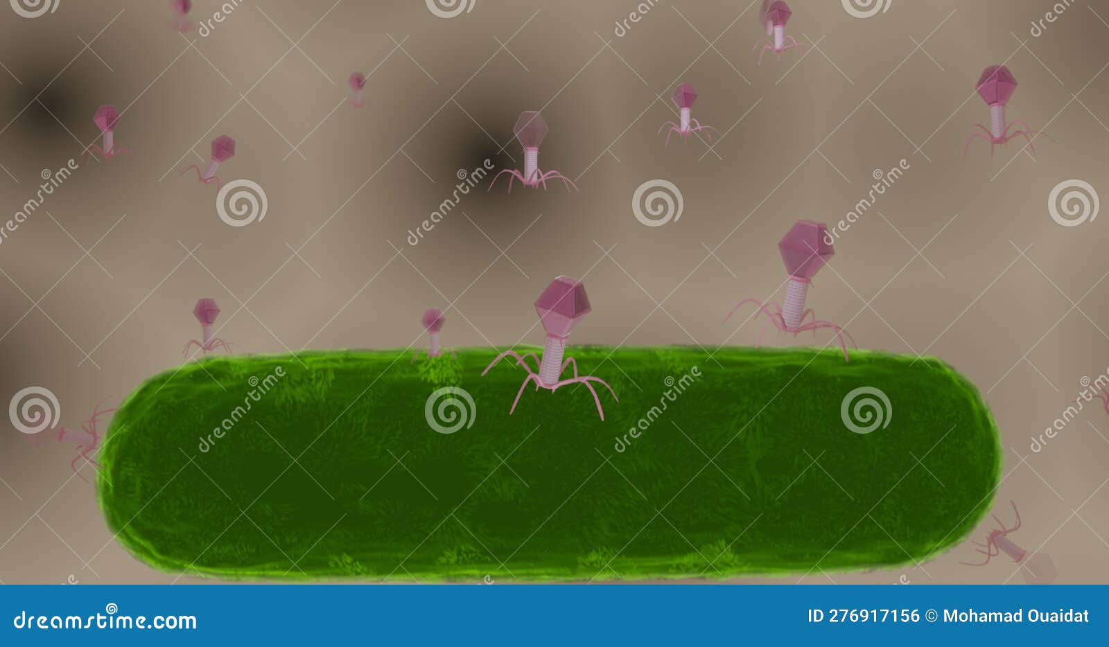 3D Illustration of Bacteriophages Infecting a Bacterium in 3D ...