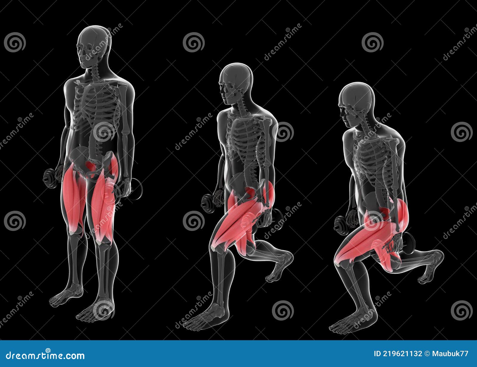 3d Illustration of the Positions Sequence of Alternate Front Lunges ...