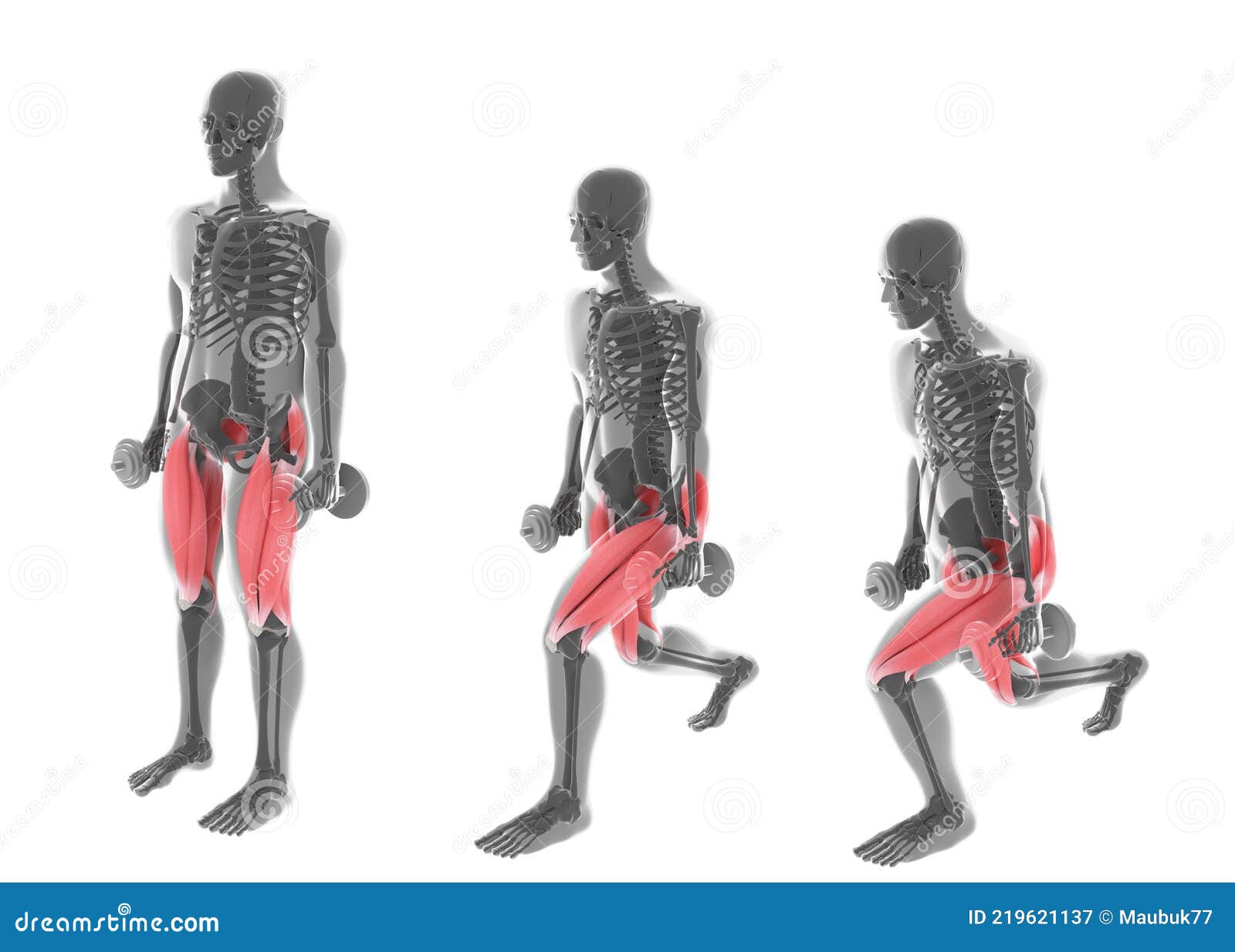 3d Illustration of the Positions Sequence of Alternate Front Lunges ...