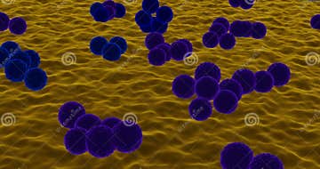 Staphylococcus Aureus in 3d Illustration Stock Illustration ...