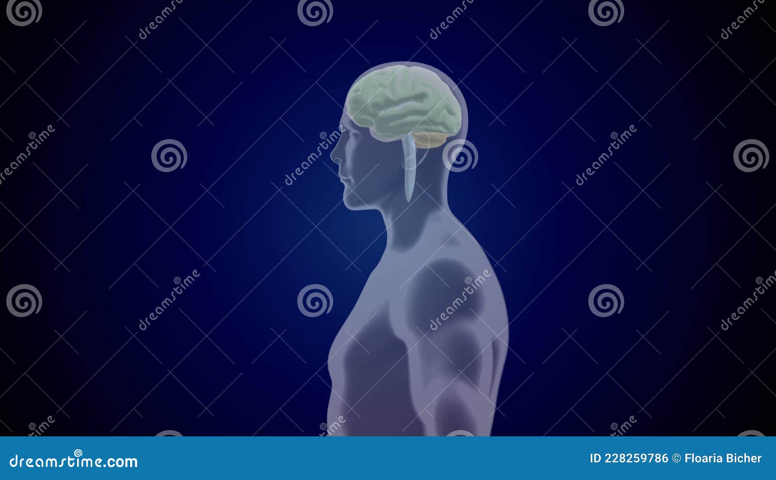 3d Illustration of Side View of Human Head with Brain Hologram. Stock ...
