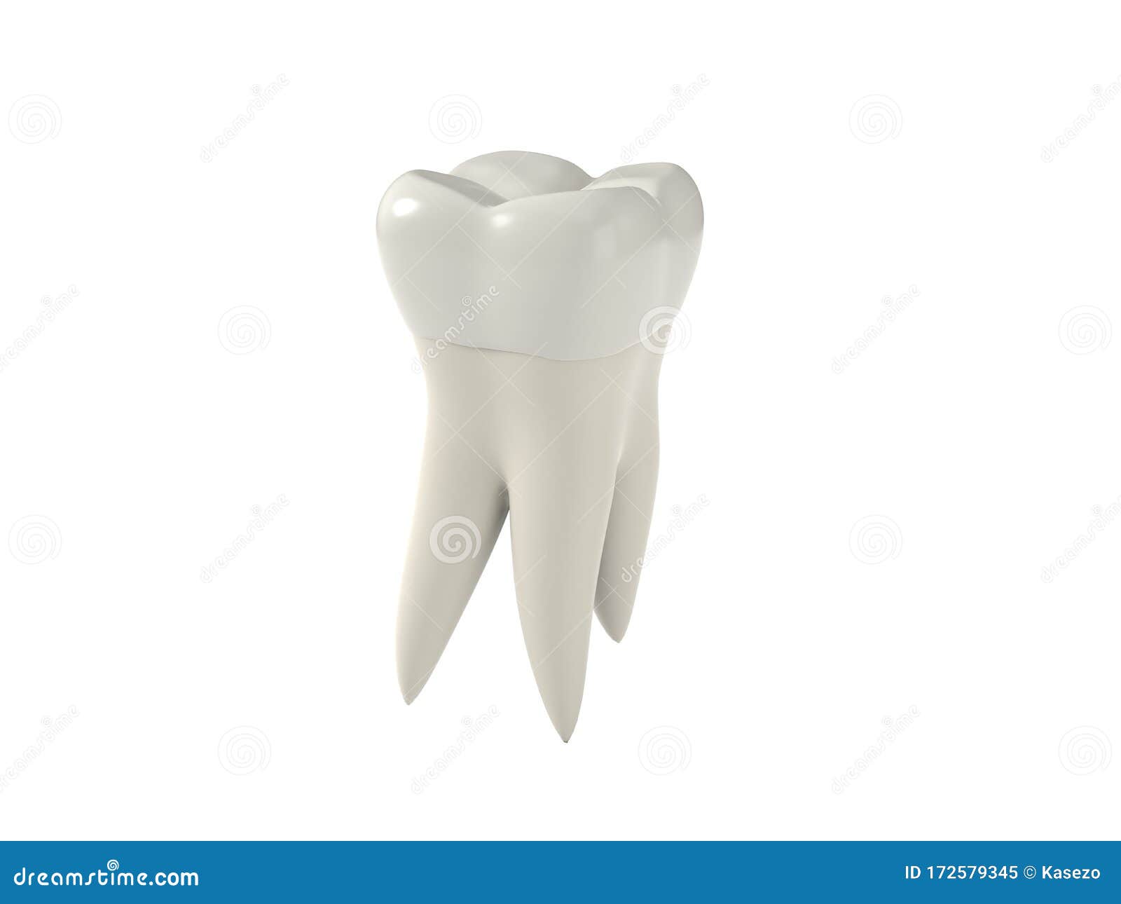 3d Illustration of Simple Molar Tooth Stock Illustration - Illustration ...