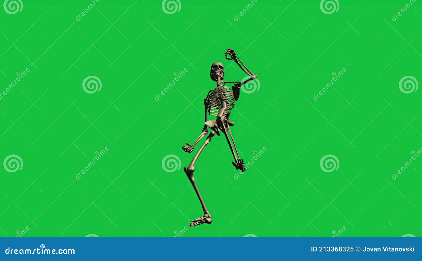 Skeleton Boxing - Separate on Green Screen Stock Illustration ...