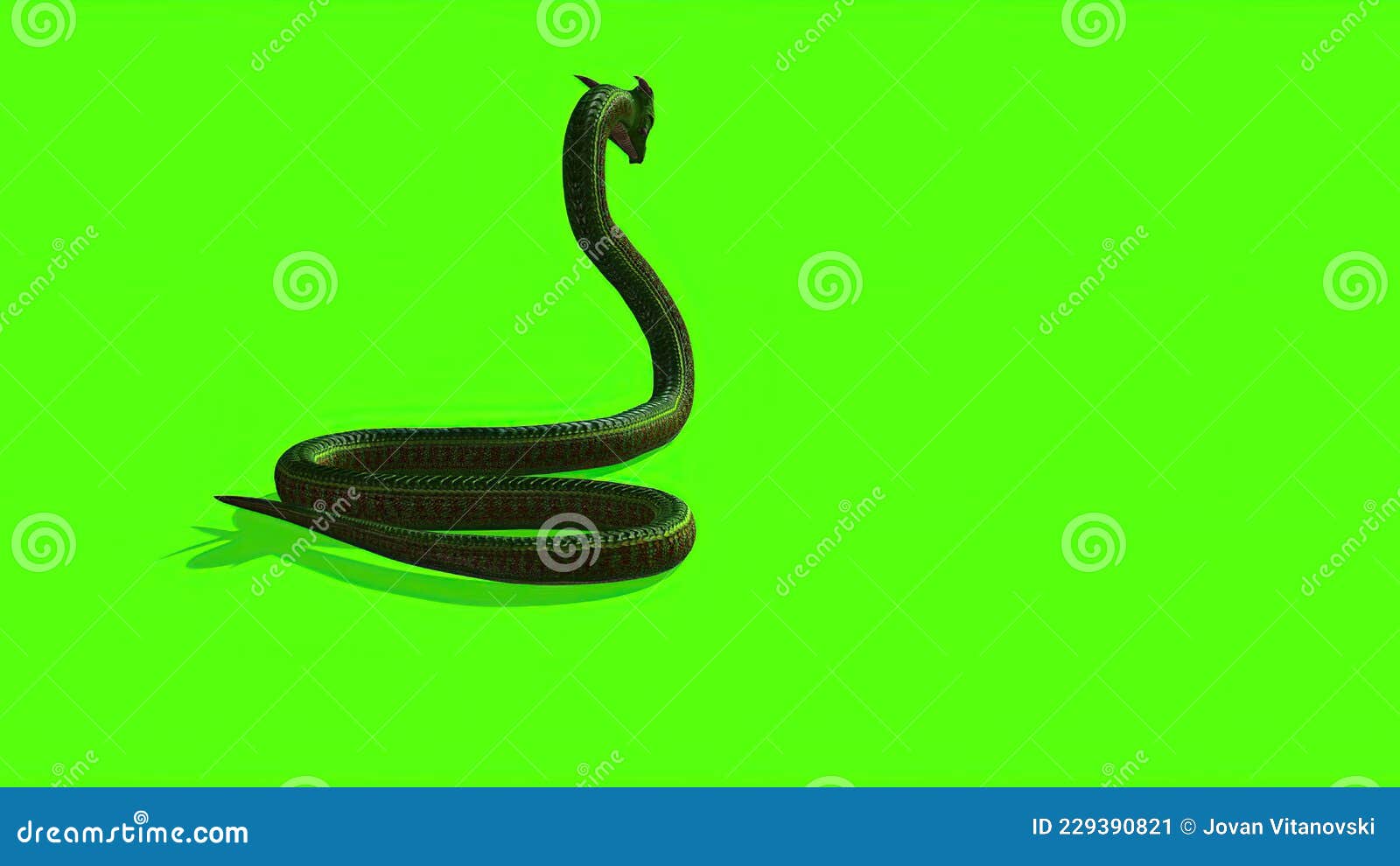 Snake on a Green Screen - Background Stock Illustration - Illustration ...