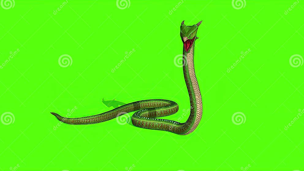 Snake on a Green Screen - Background Stock Illustration - Illustration ...
