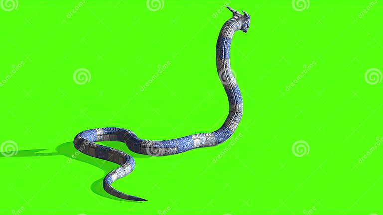 Snake on a Green Screen - Background Stock Illustration - Illustration ...
