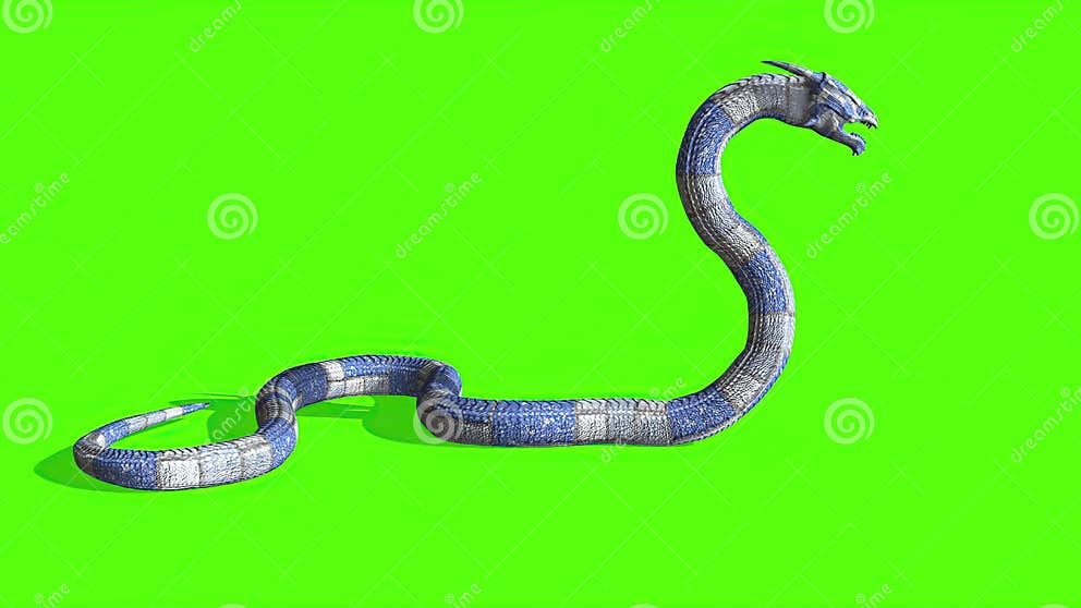 Snake on a Green Screen - Background Stock Illustration - Illustration ...