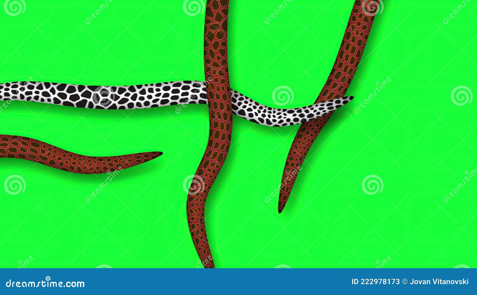 Snakes Crawling Against a Green Screen Stock Illustration ...