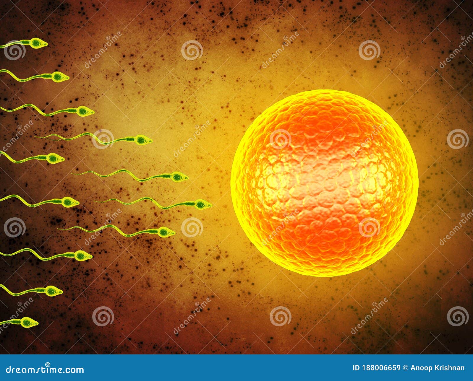 3d Illustration Sperm Approaching Egg Cell Stock Illustration