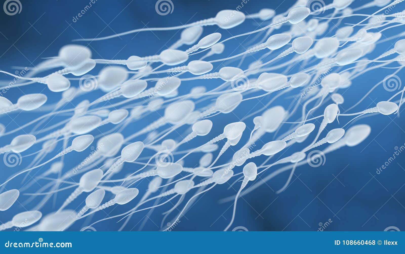 Human sperm flow stock illustration. Illustration of sperm - 108660468