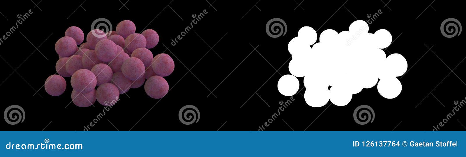 3D Illustration of a Staphylococcus Aureus Bacteria Stock Illustration ...