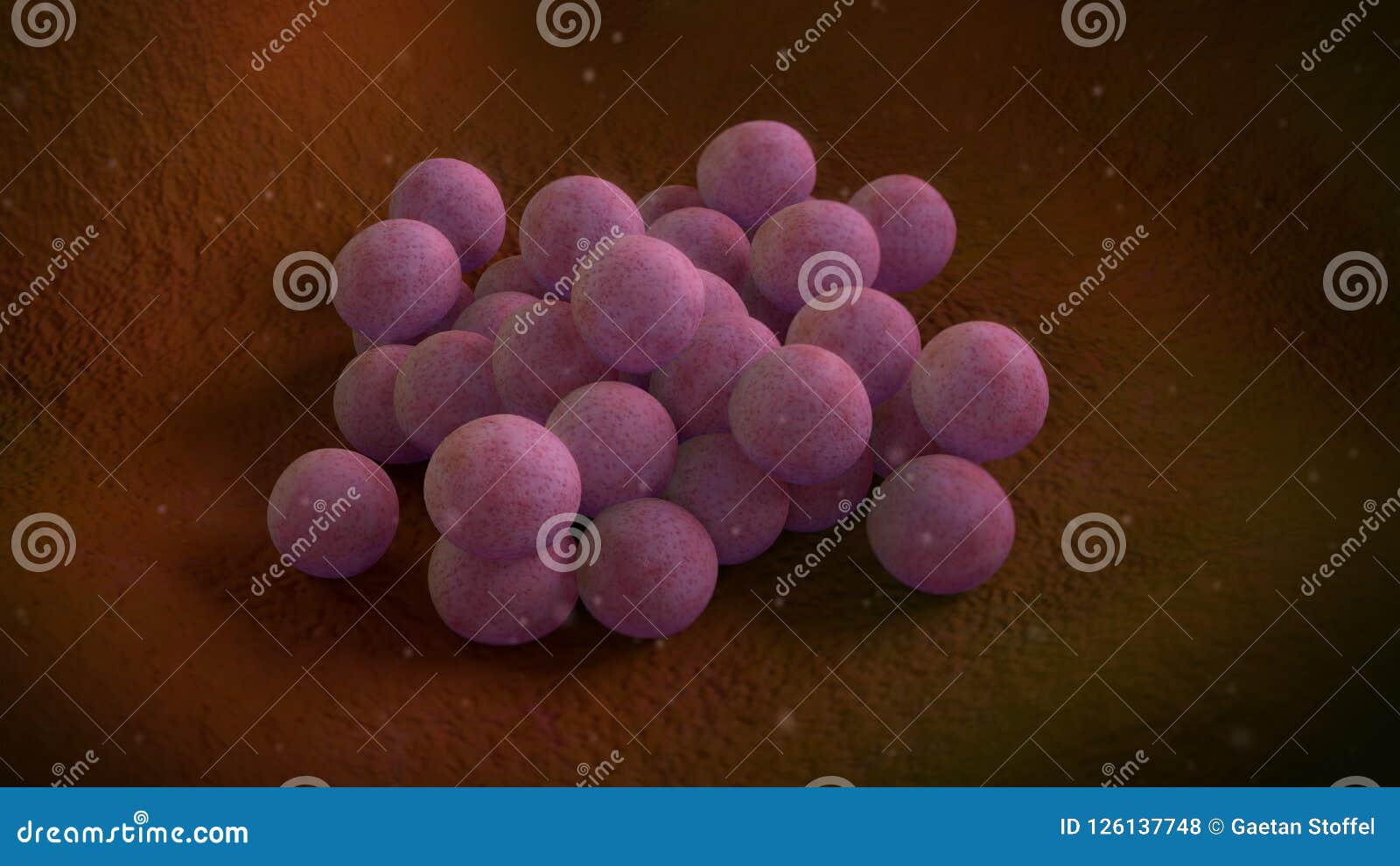 3D Illustration of a Staphylococcus Aureus Bacteria Stock Illustration ...