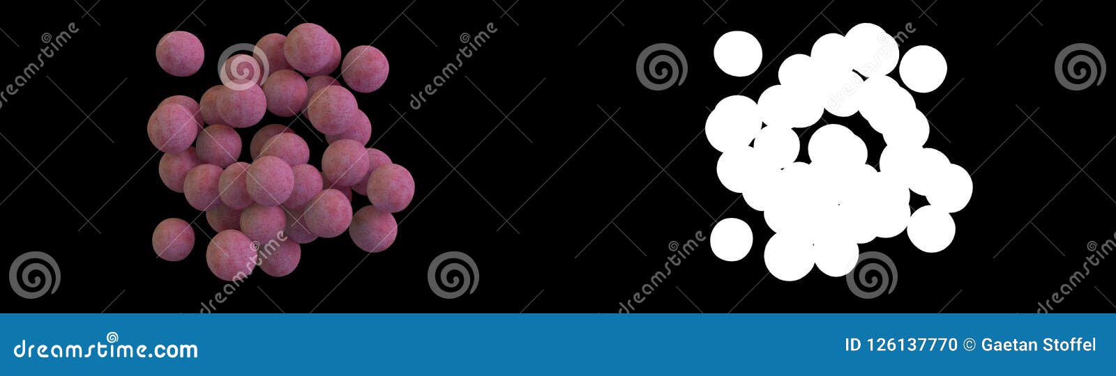 3D Illustration of a Staphylococcus Aureus Bacteria Stock Illustration ...