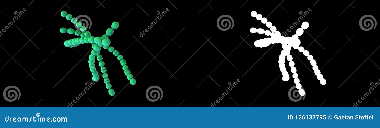 3D Illustration of a Streptococcus Pyogenes Bacteria Stock Illustration ...