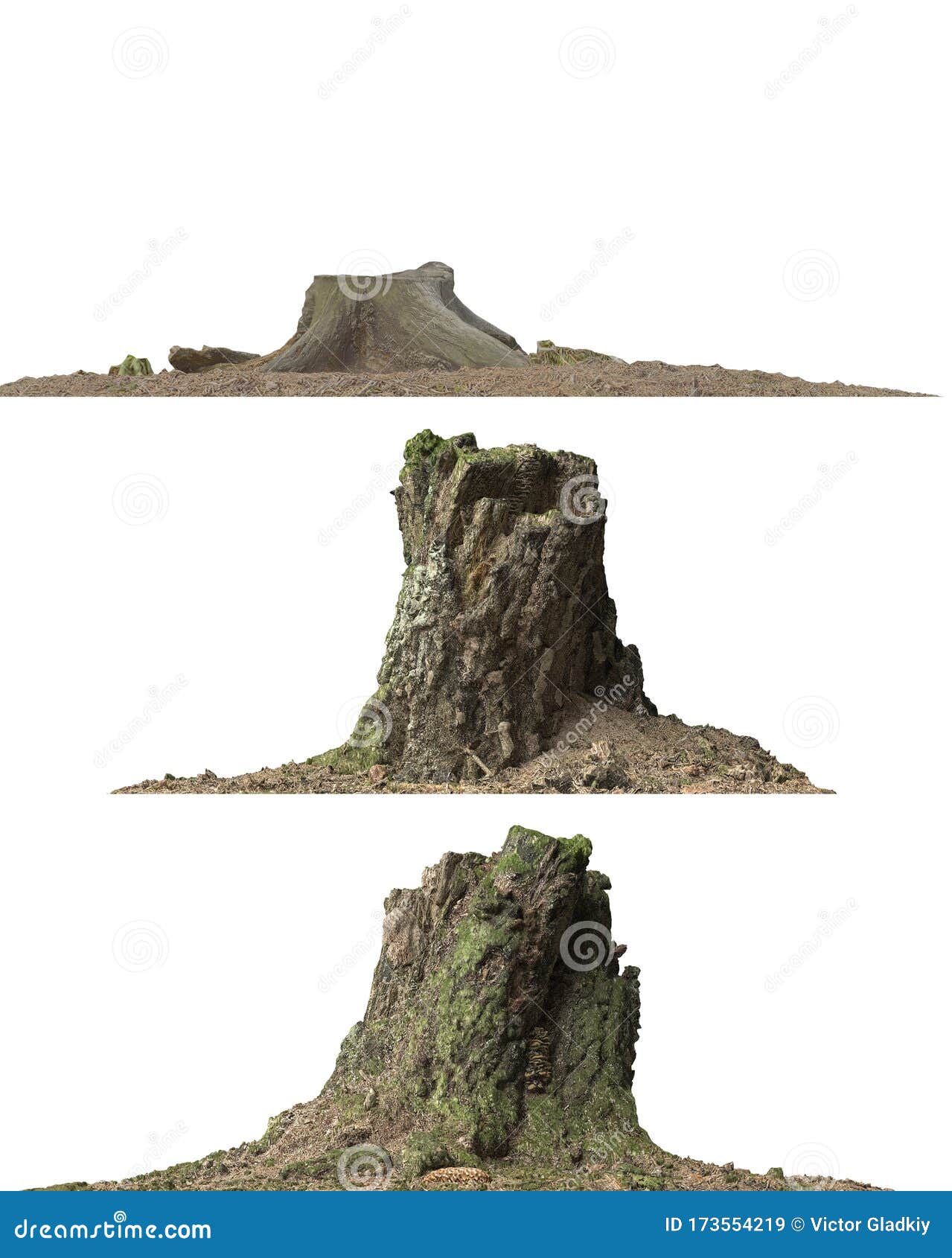 Stump Dead Tree Isolated on White 3d Illustration Stock Illustration ...