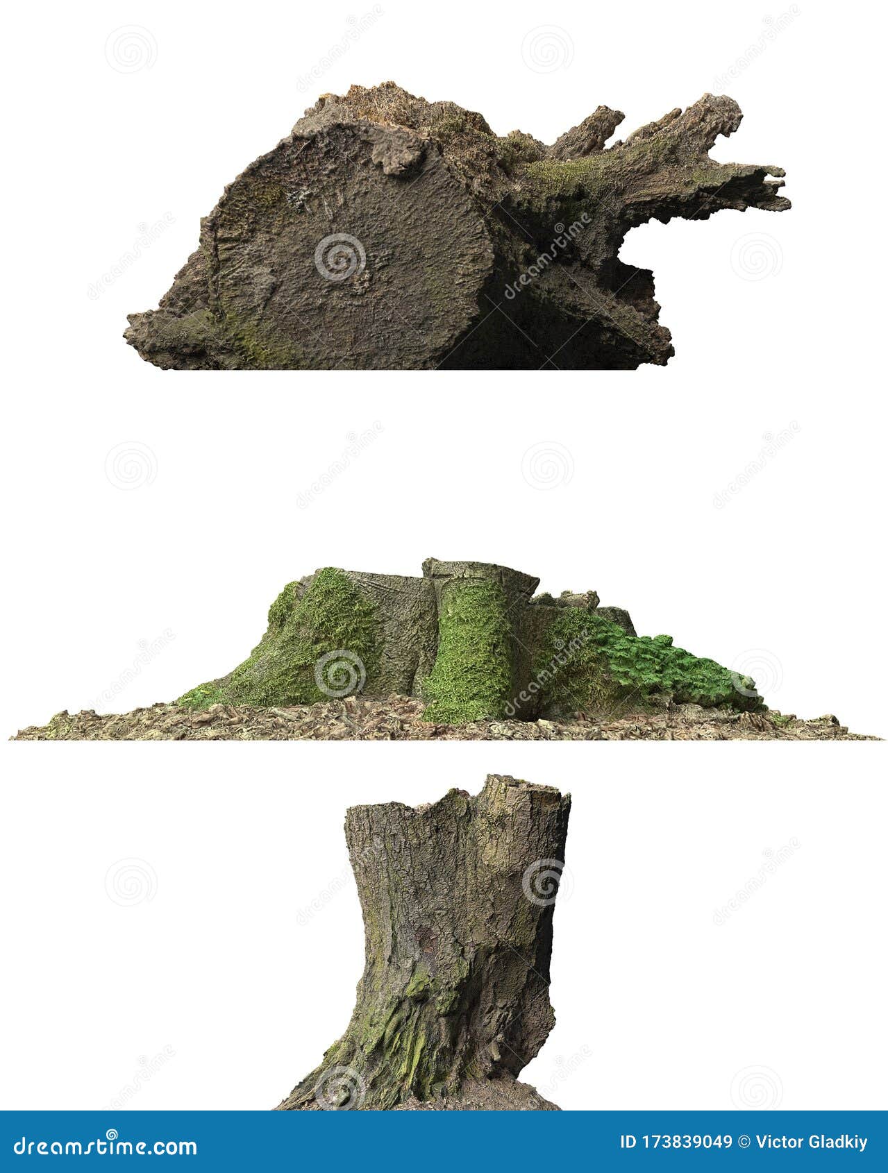 Stump Dead Tree Isolated on White 3d Illustration Stock Illustration ...