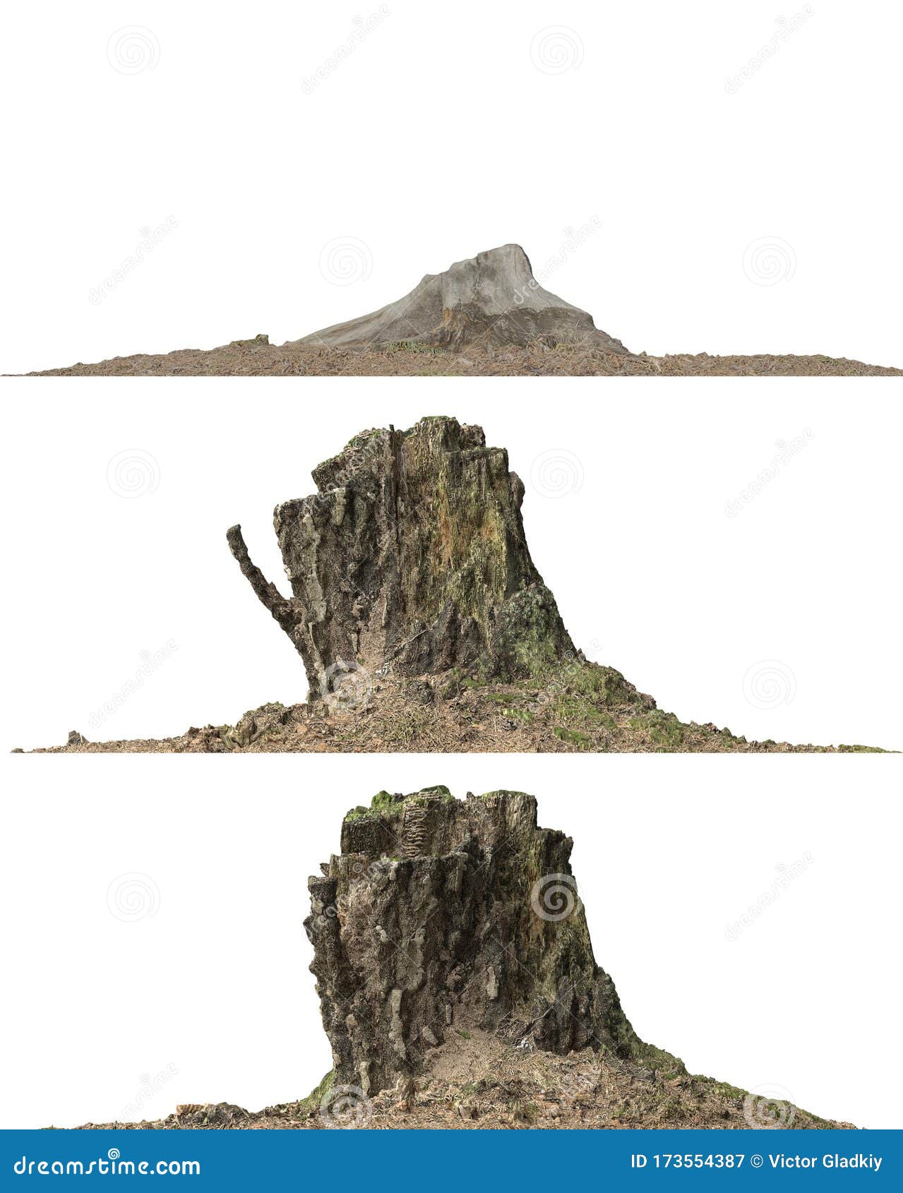 Stump Dead Tree Isolated on White 3d Illustration Stock Illustration ...