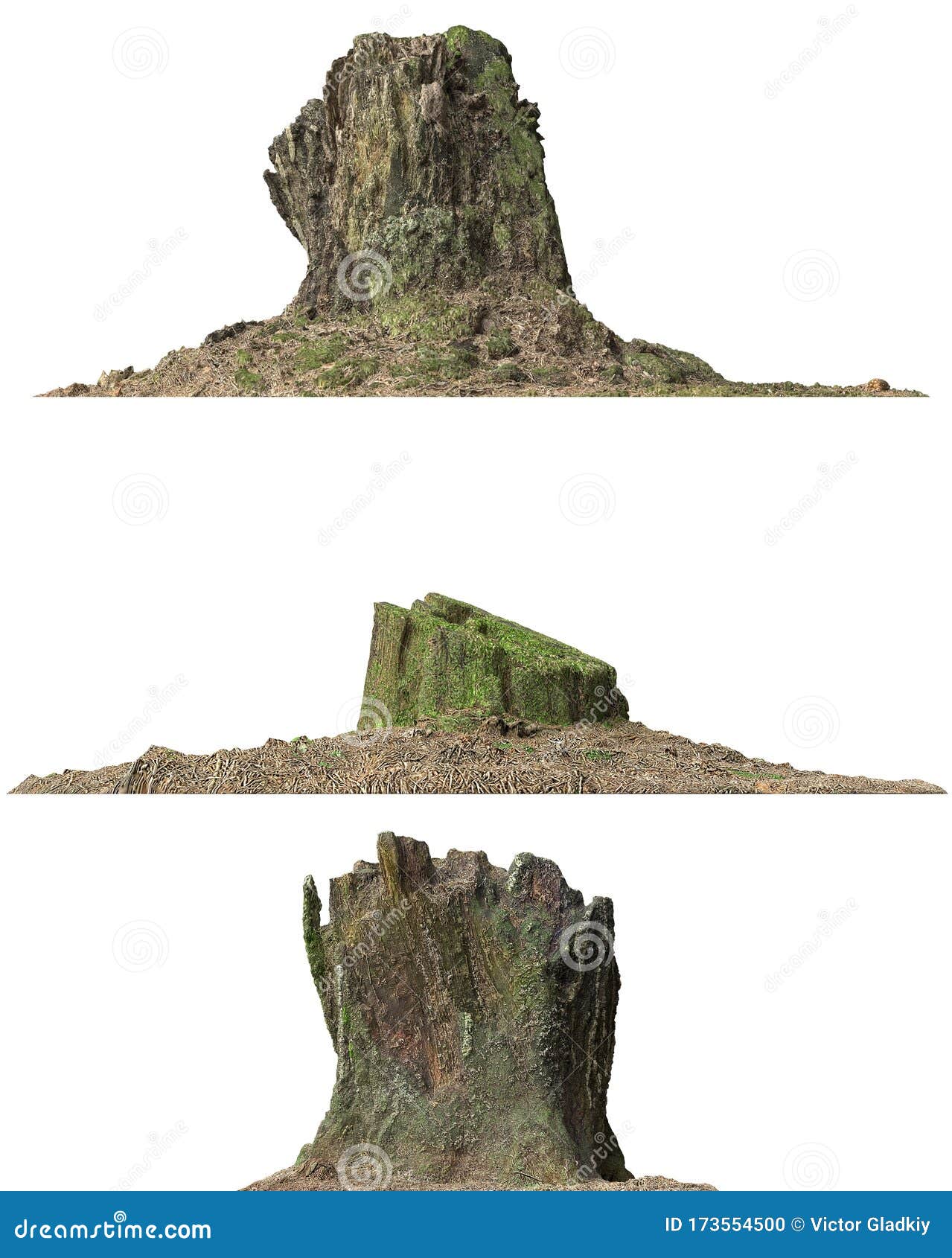 Stump Dead Tree Isolated on White 3d Illustration Stock Illustration ...