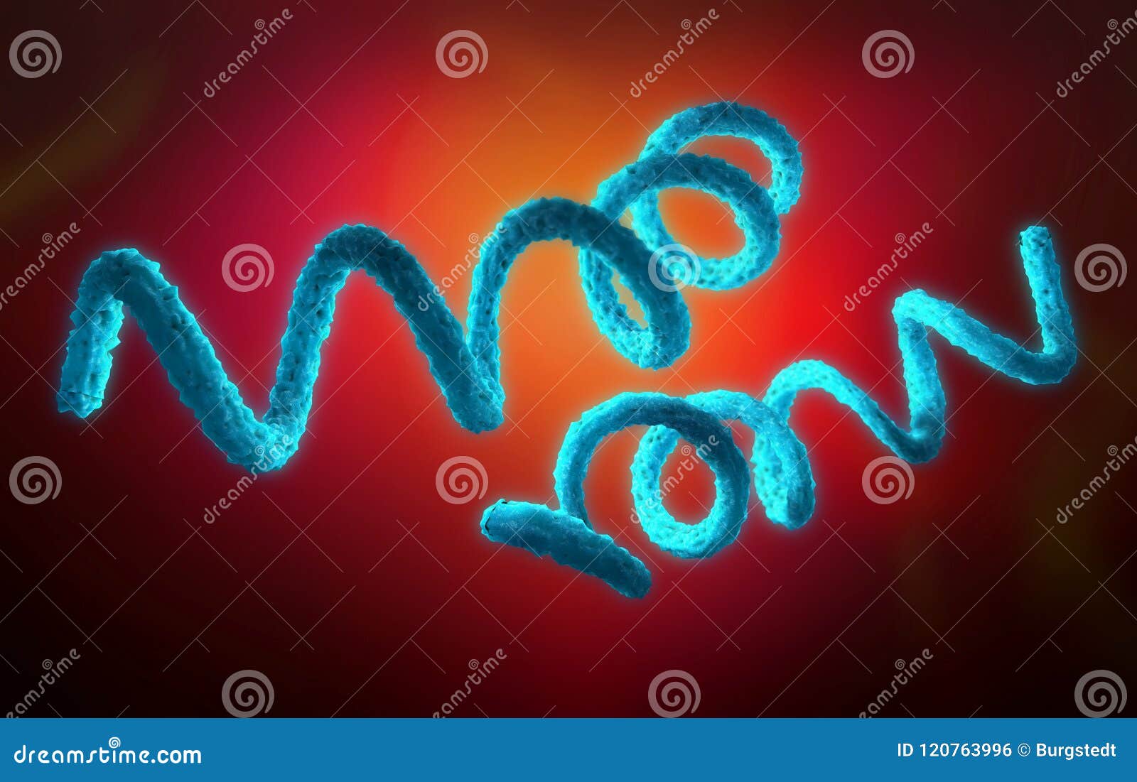 3d Illustration of a Blue Colored Syphilis Pathogen Stock Illustration ...