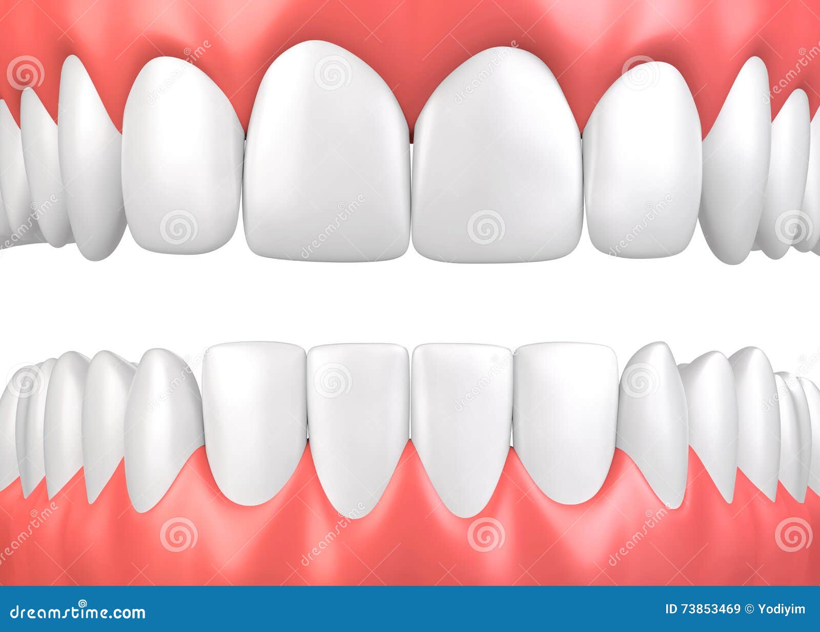 3D Illustration Teeth and Gum Model. Stock Illustration - Illustration ...