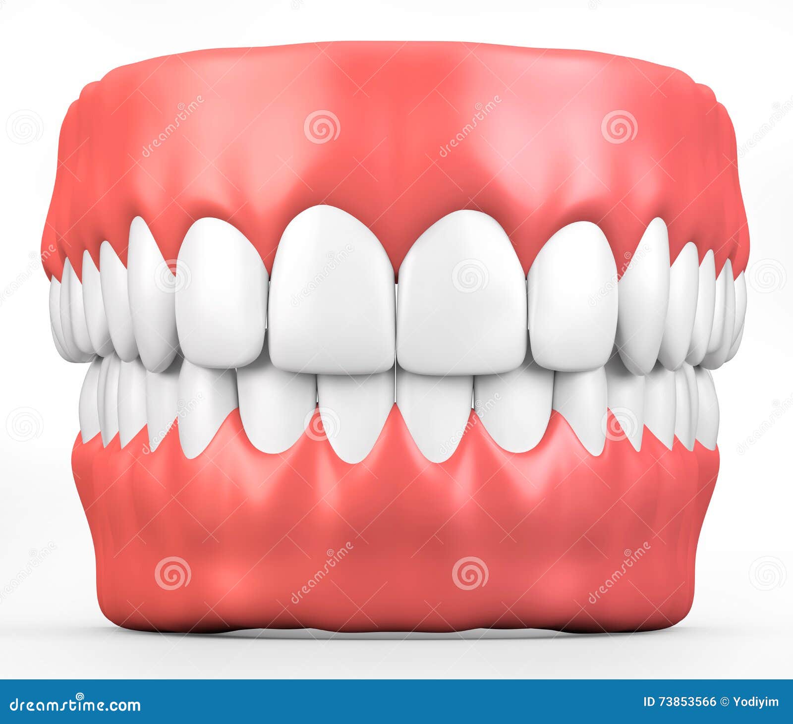 3D Illustration Teeth and Gum Model. Stock Illustration - Illustration ...