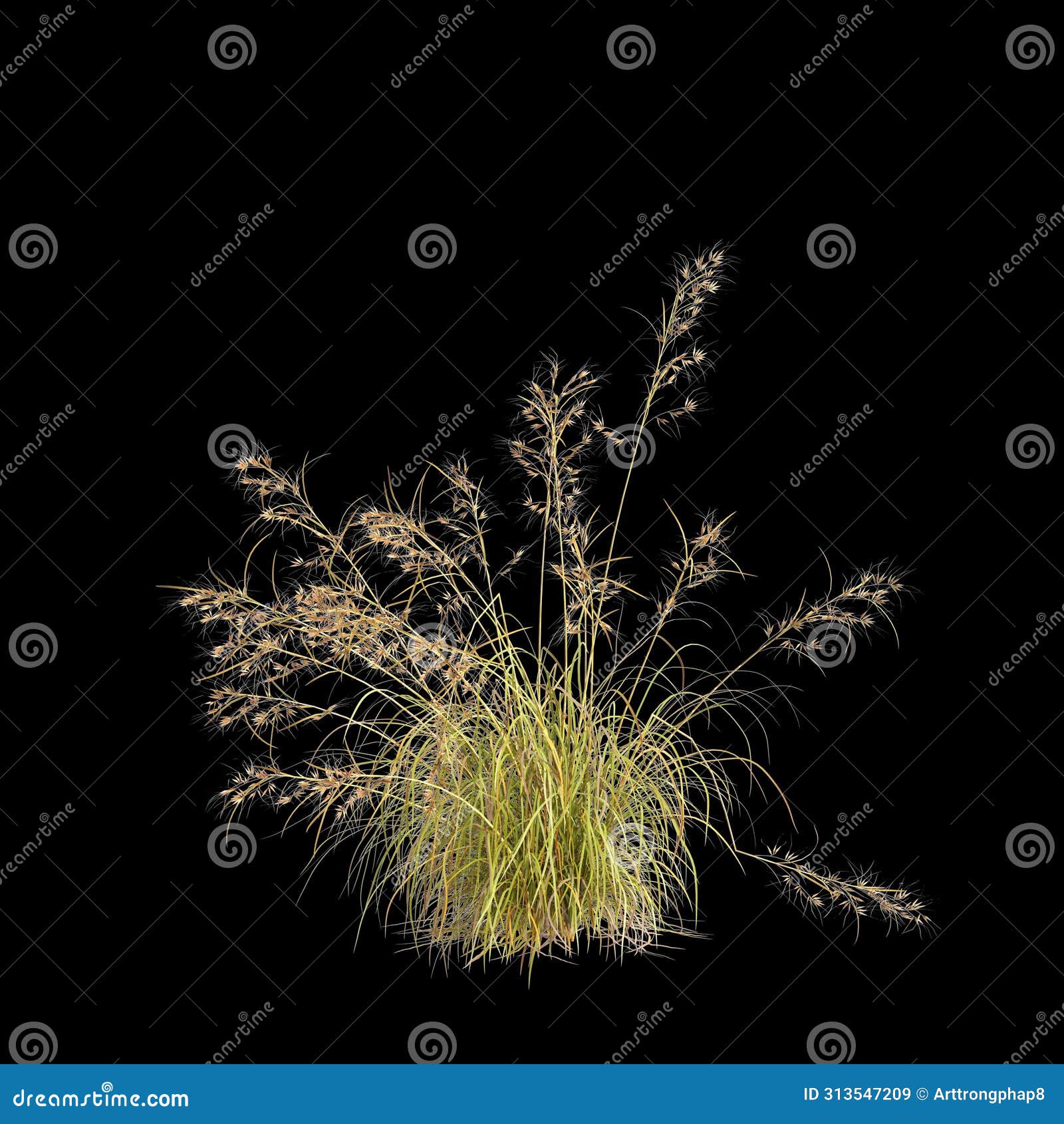 Psis Cartoons, Illustrations & Vector Stock Images - 11 Pictures to ...