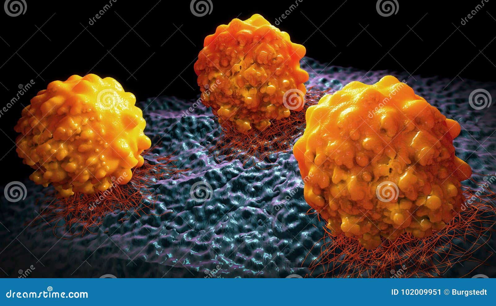3d Illustration of Three Orange Coloured Cancer Cells Stock ...