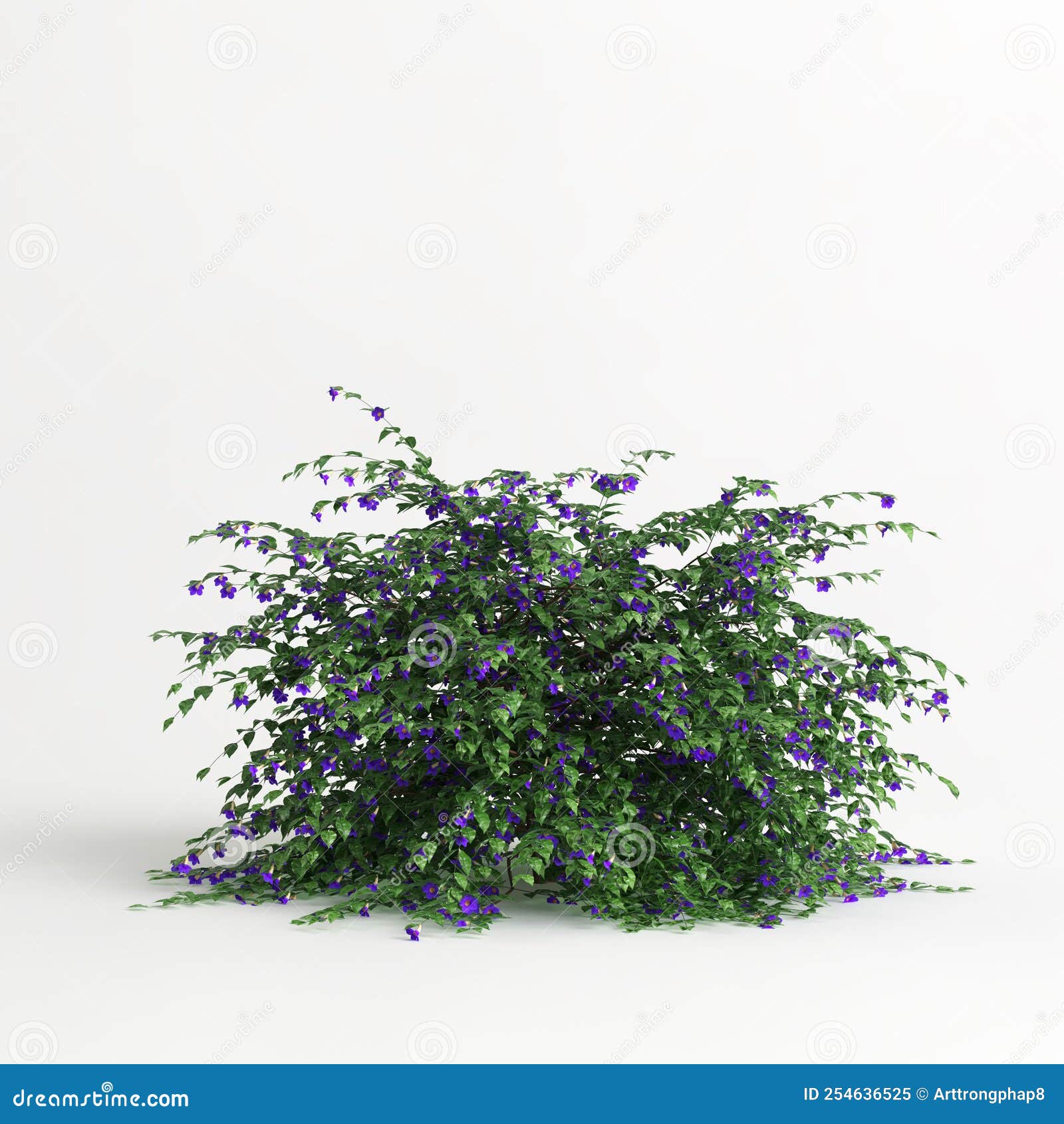 3d Illustration of Thunbergia Erecta Isolated on White Background Stock ...