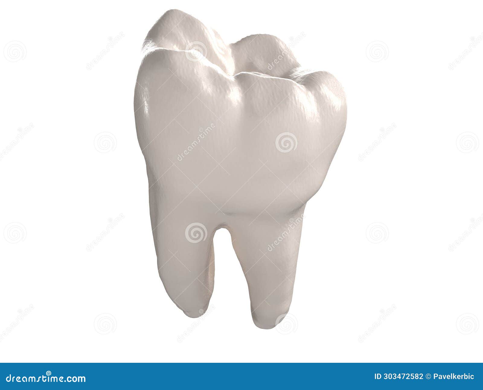 3D Illustration - Tooth - White Background Stock Illustration ...