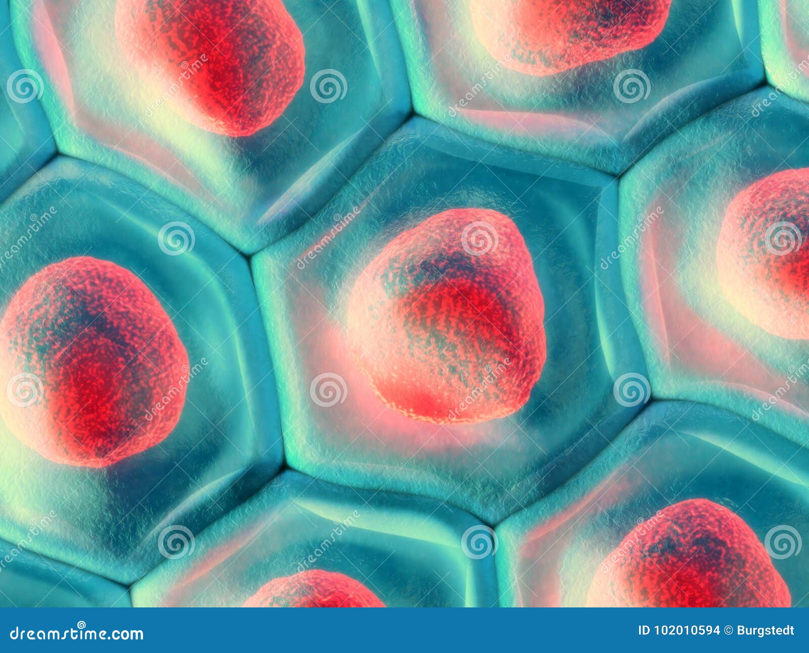 3d Illustration of a Top View on Blue Cell Pattern with Red Cell Stock ...