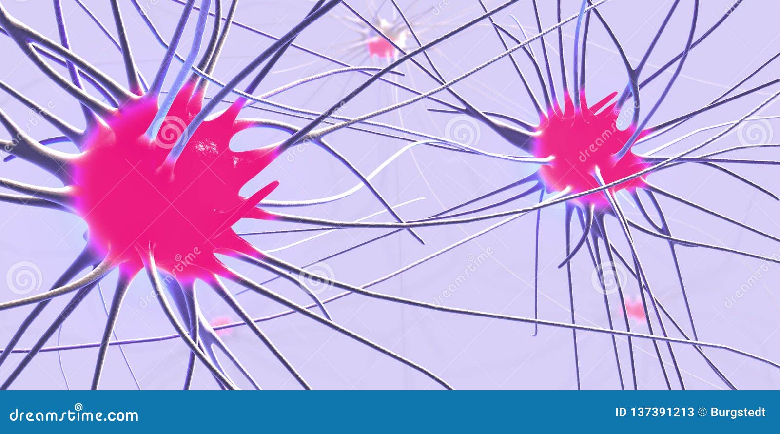 Transmitting Synapse,neuron or Nerve Cell Stock Illustration ...