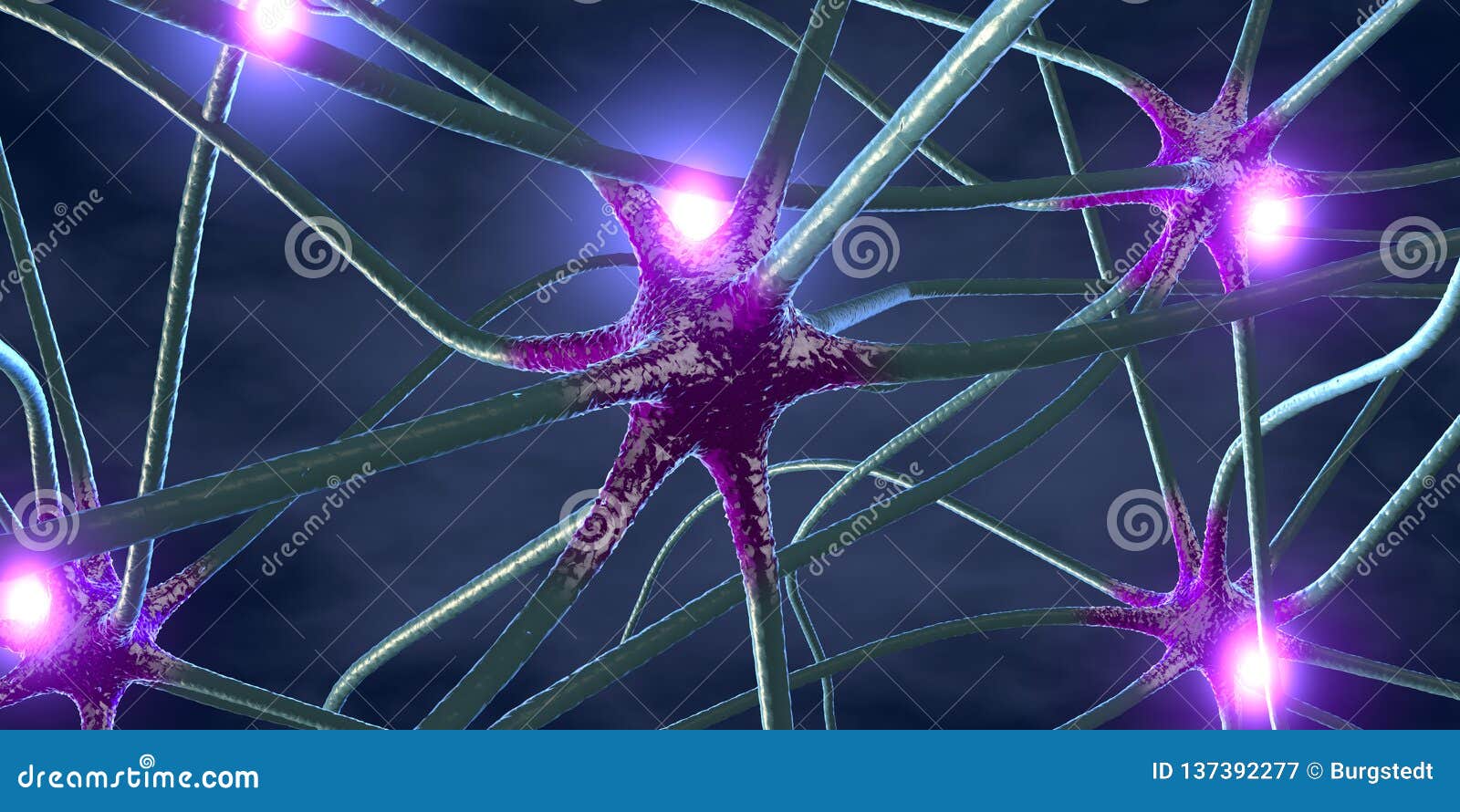 Transmitting Synapse,neuron or Nerve Cell Stock Illustration ...