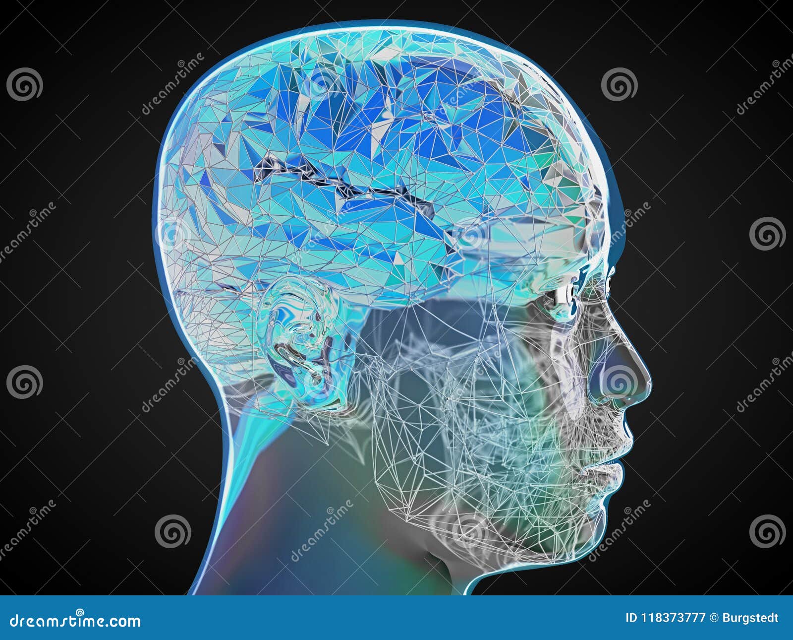 3d Illustration of a Transparent Human Refractive Skull with Colorful ...
