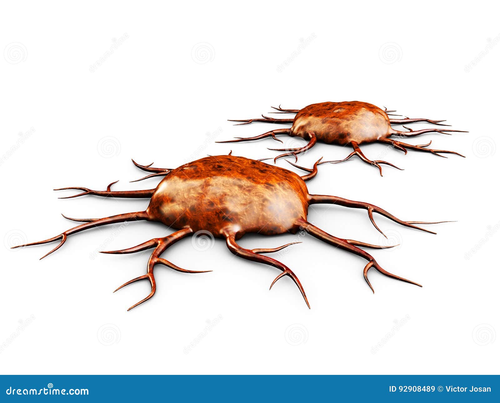 3d Illustration of Two Cancer Cells, Isolated on White Background ...