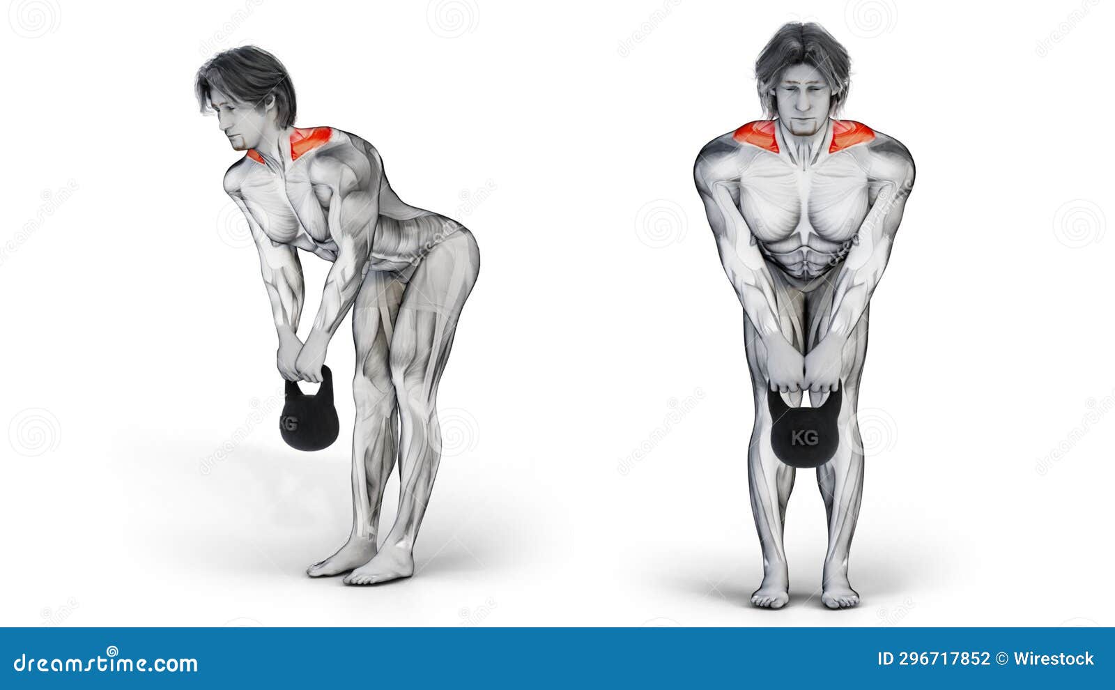 3d Illustration of Two Different Angles for Kettlebell Trap Muscle ...