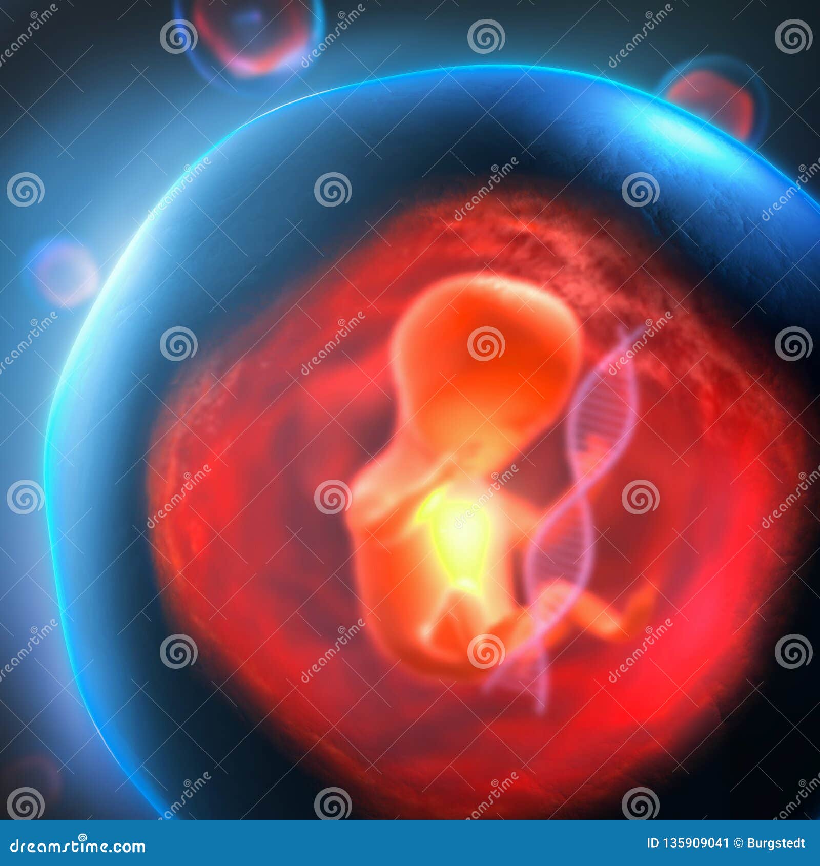 Genetically Modified Embryo Trapped in a Transparent Bubble with a DNA ...