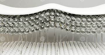 3d Illustration of the Undulating Structure of the Skin, Membrane ...