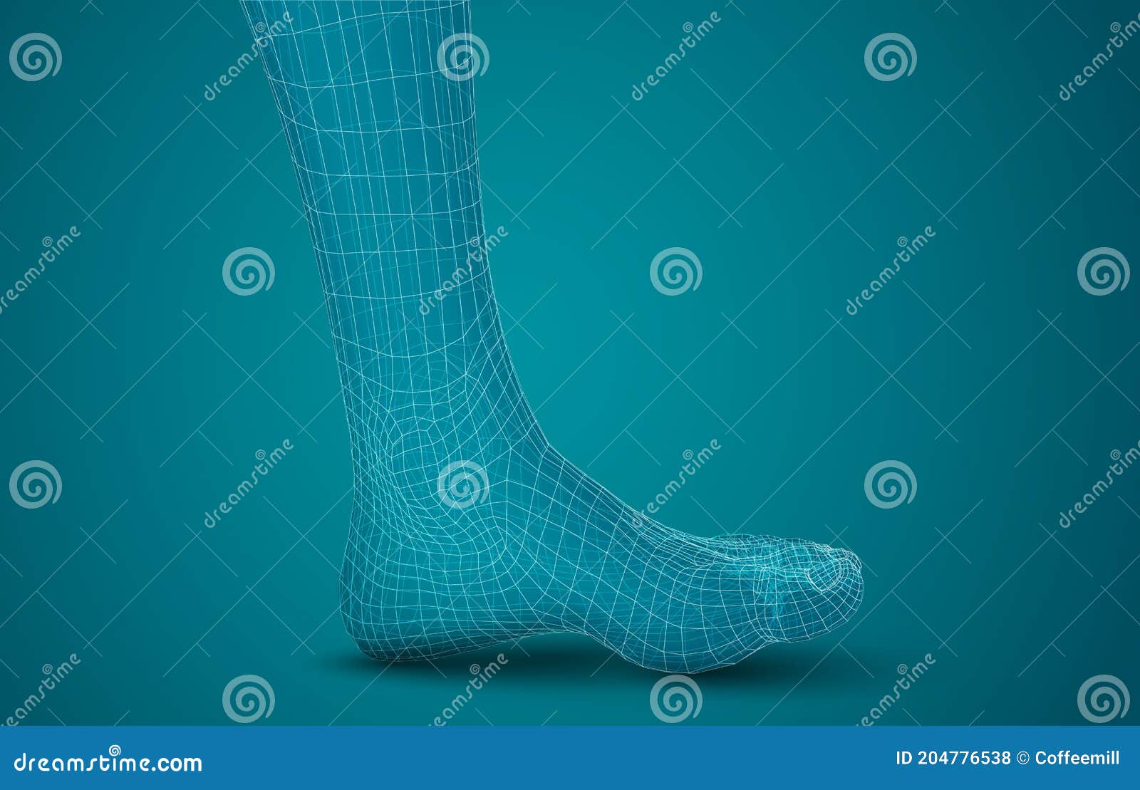3d Illustration of a Vector of Human Feet Walking Along Stock ...