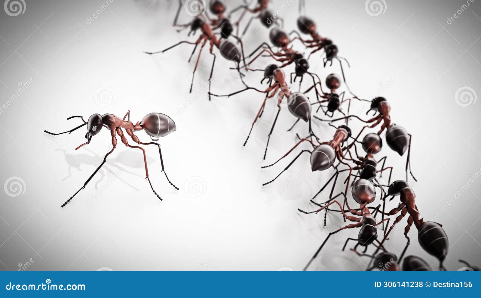 3D Illustration of Walking Ants. Top View Stock Illustration ...