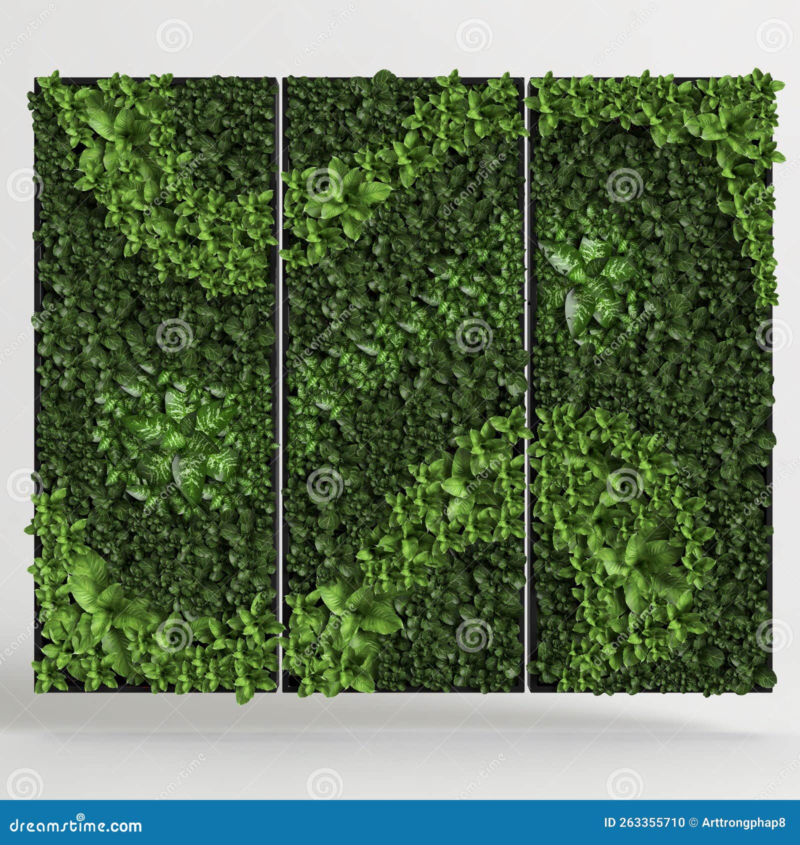 3d Illustration of Wall Tree Isolated on White Background Stock ...