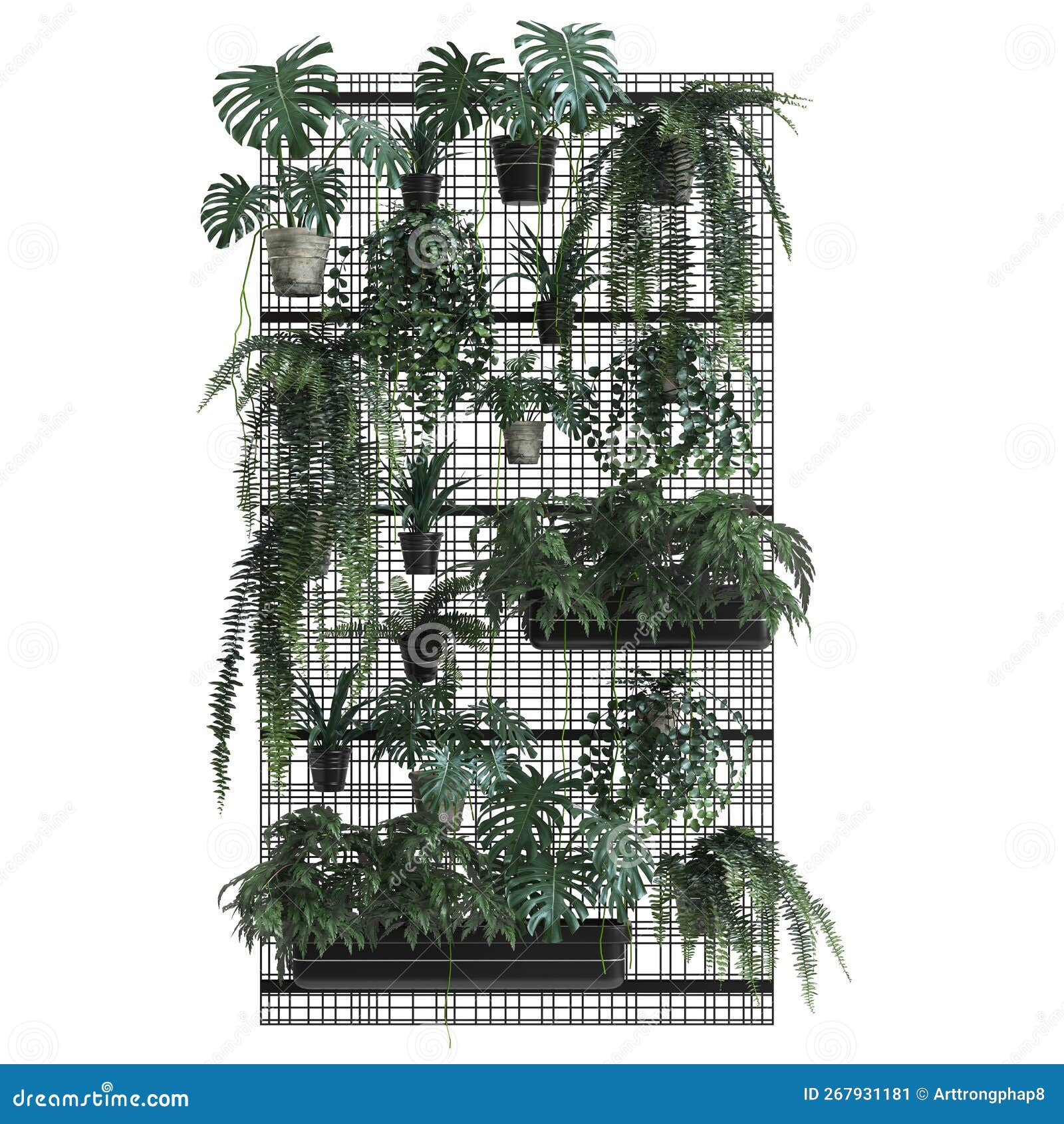 3d Illustration of Wall Tree Isolated on White Background Stock ...