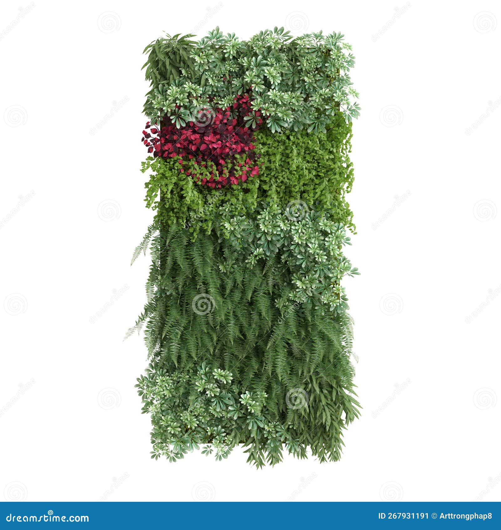 3d Illustration of Wall Tree Isolated on White Background Stock ...