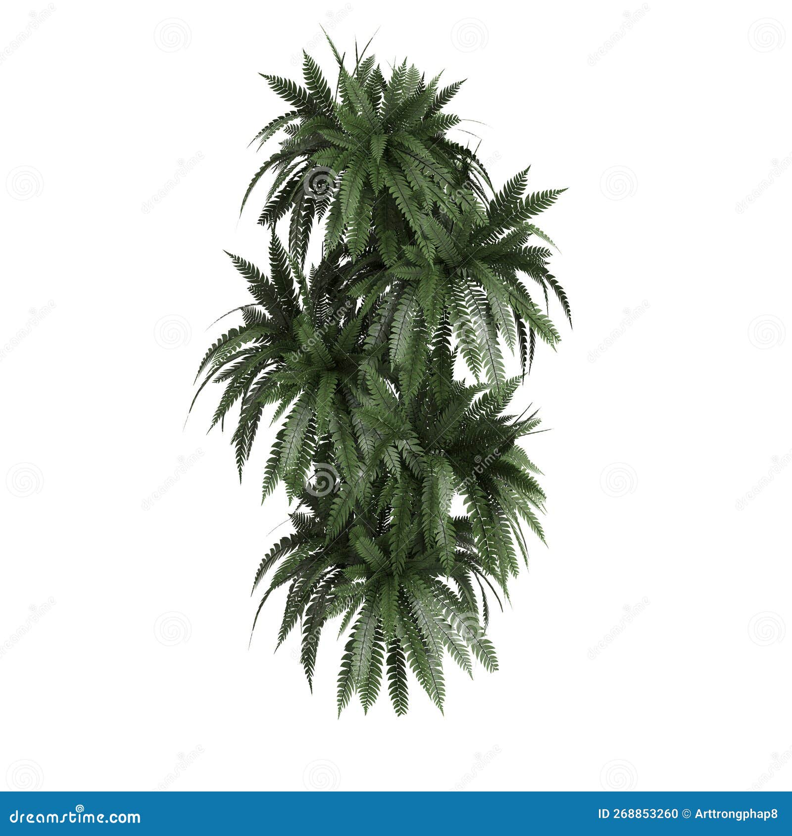 3d Illustration of Wall Tree Isolated on White Background Stock ...